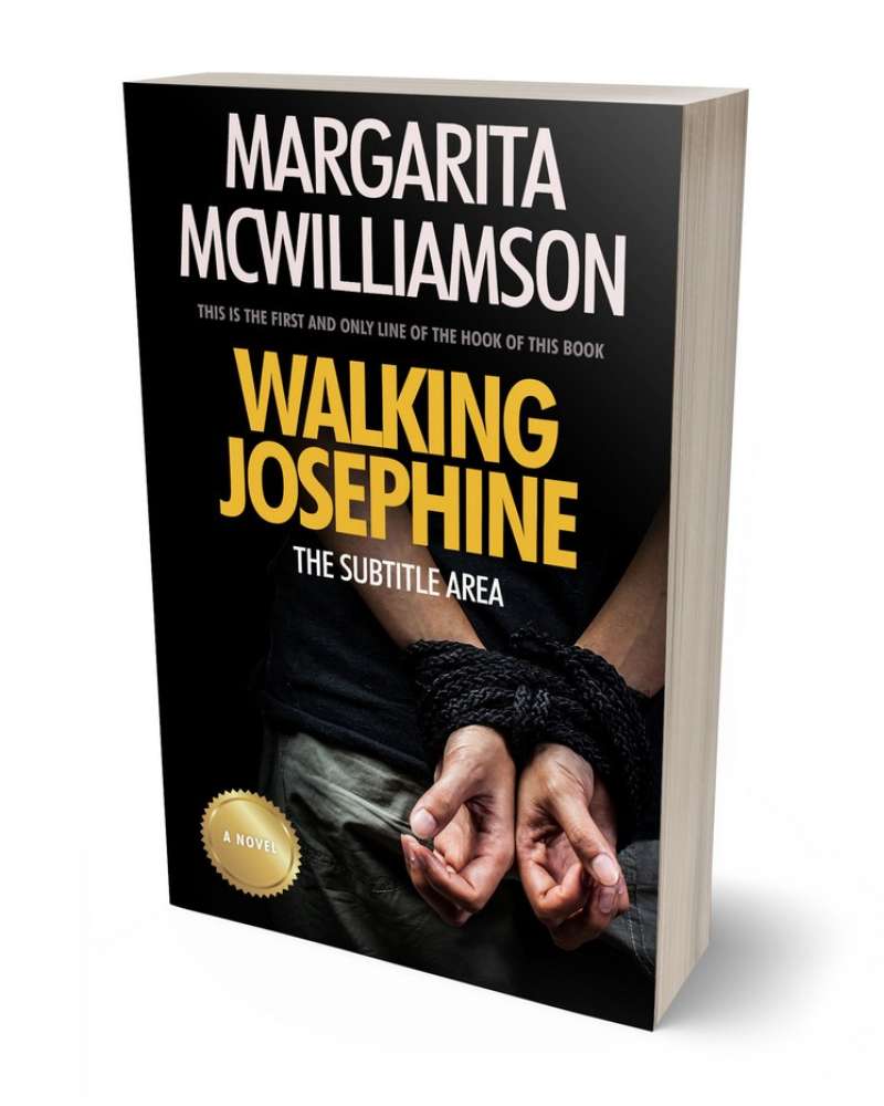 Premade Book Covers - Premade Fiction, Action & Adventure Book Covers - Bookcoverzone.com - Cod ...