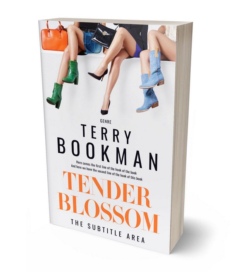 Premade Book Covers - Premade Fiction, Chick Lit Book Covers - Bookcoverzone.com - SOLD - Ebb 8297